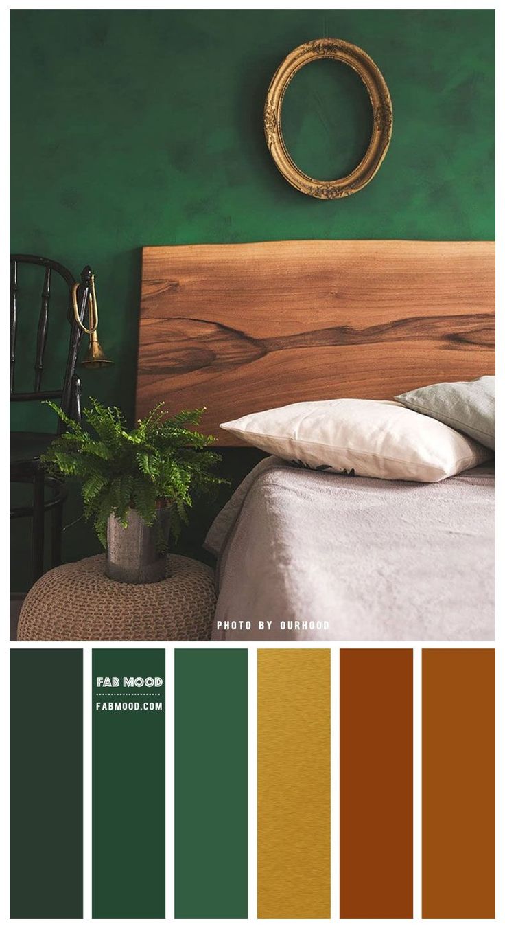 What Color to Match with Green: 20 Amazing Pairings That Pop
